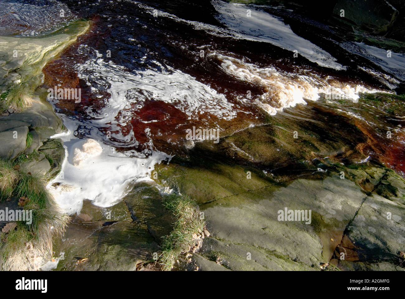 Froth on the River Etherow which flows off the peat moorland on the ...