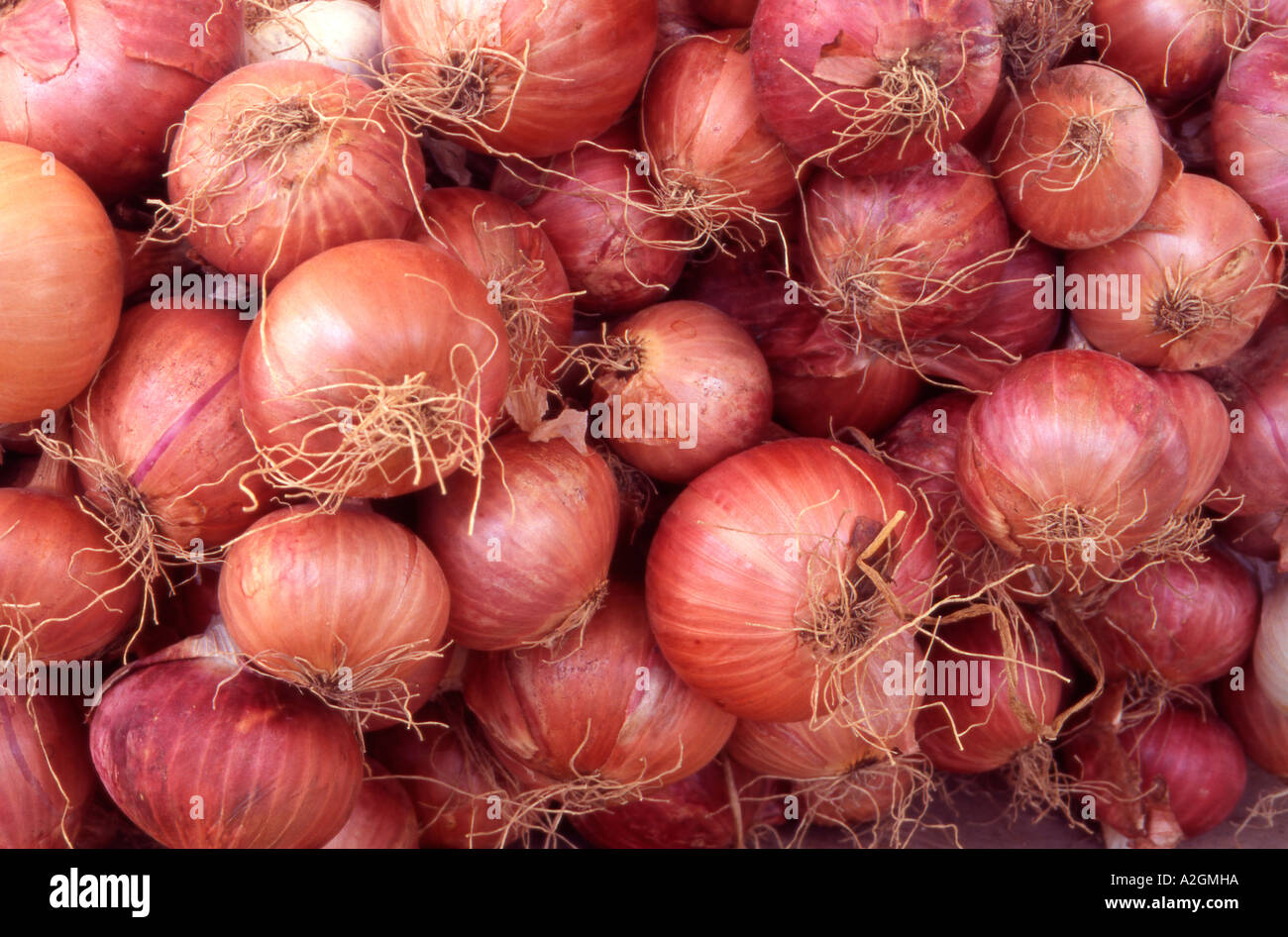Onions Crete Greece Stock Photo - Alamy