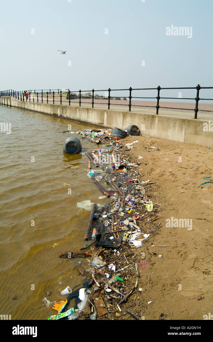 Flotsam and jetsam A variety of rubbish washed up on the beach at New ...