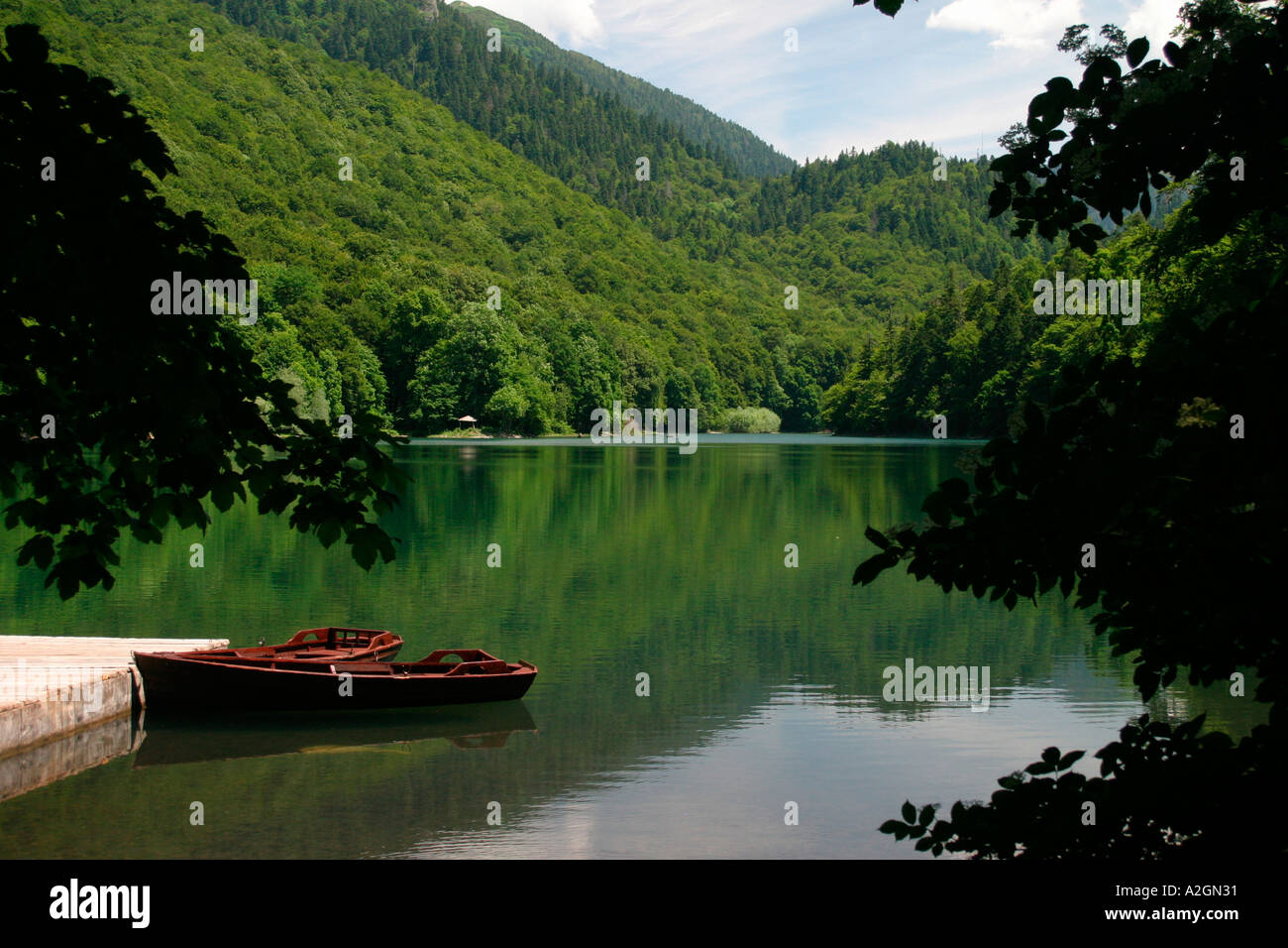 Gora Lake Montenegro National Park in temperate rain forest Stock Photo ...