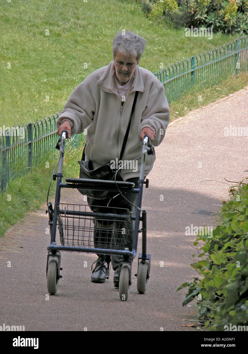 partially disabled woman getting about with wheeled frame walking ...