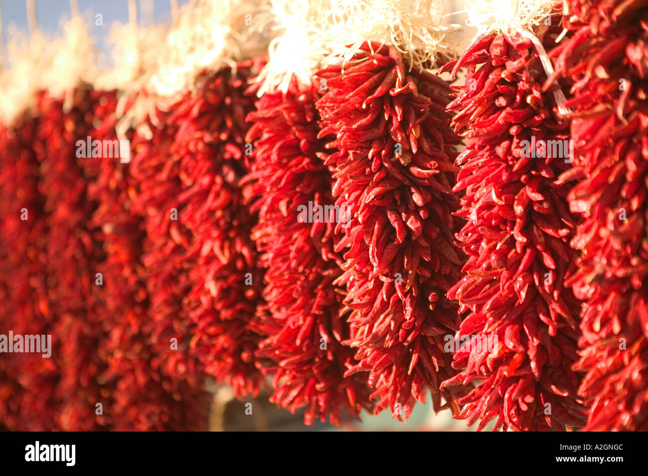 Red chile pepper ristras hi-res stock photography and images - Alamy
