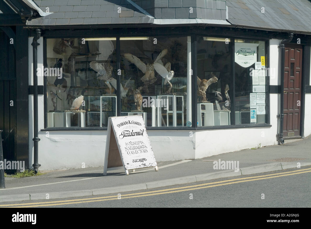 Taxidermists shop in the popular and picturesque tourist resort of ...