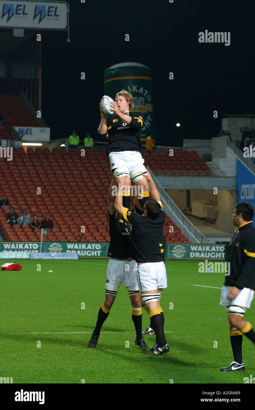 Wellington Lions Rugby Team practicing, Waikato Stadium, Hamilton, New ...
