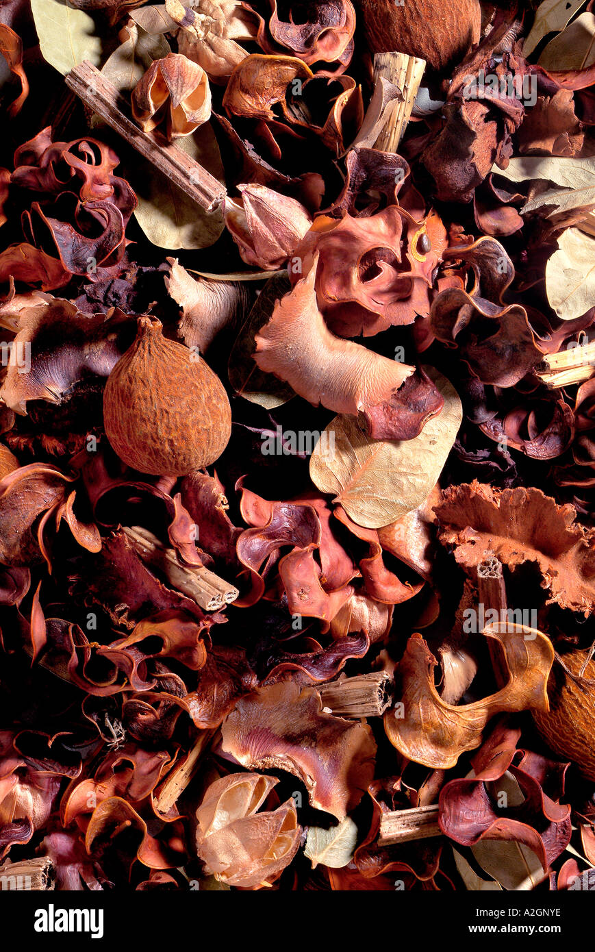 Potpourri smelling hi-res stock photography and images - Alamy