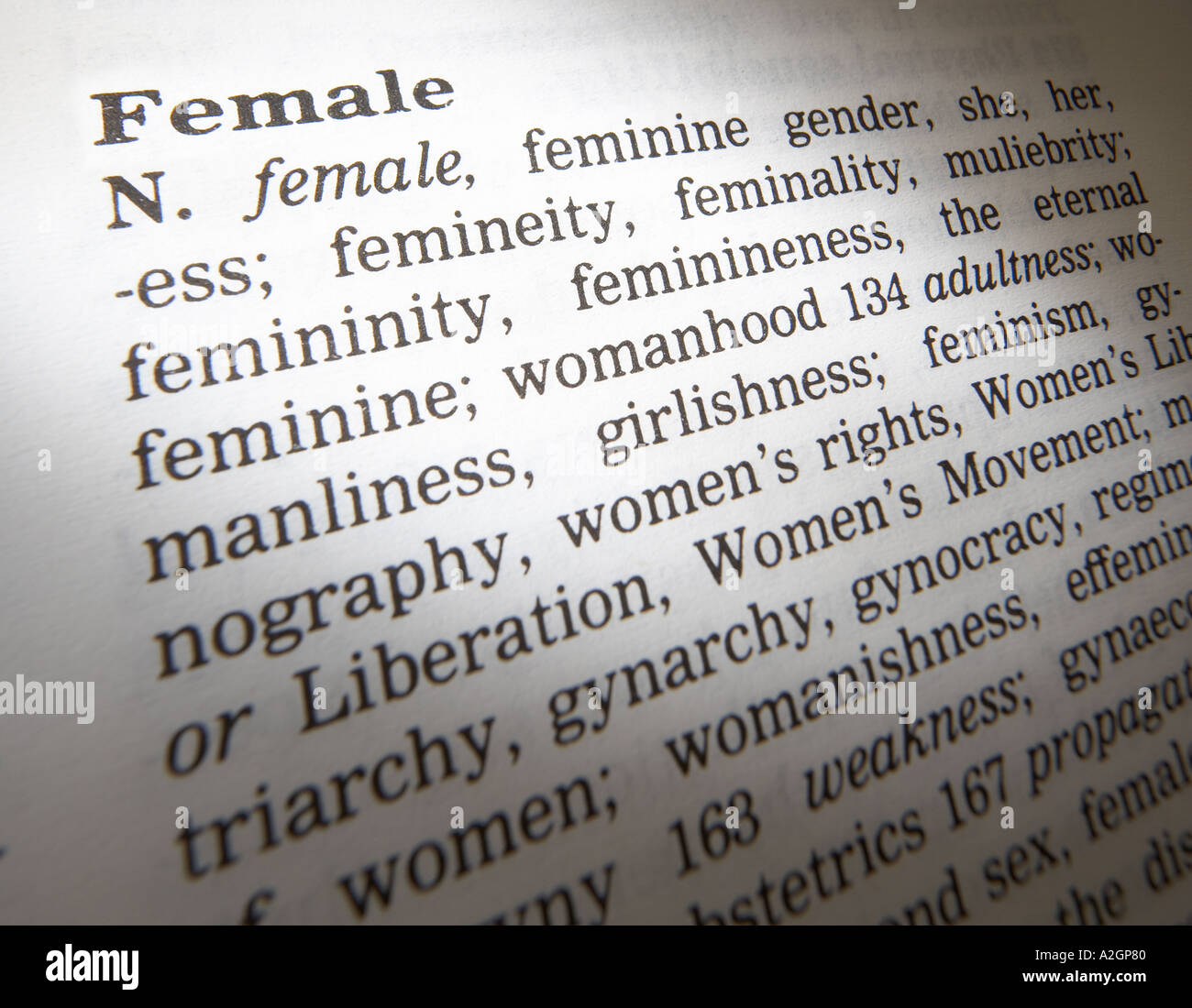 THESAURUS PAGE SHOWING DEFINITION OF WORD FEMALE Stock Photo - Alamy