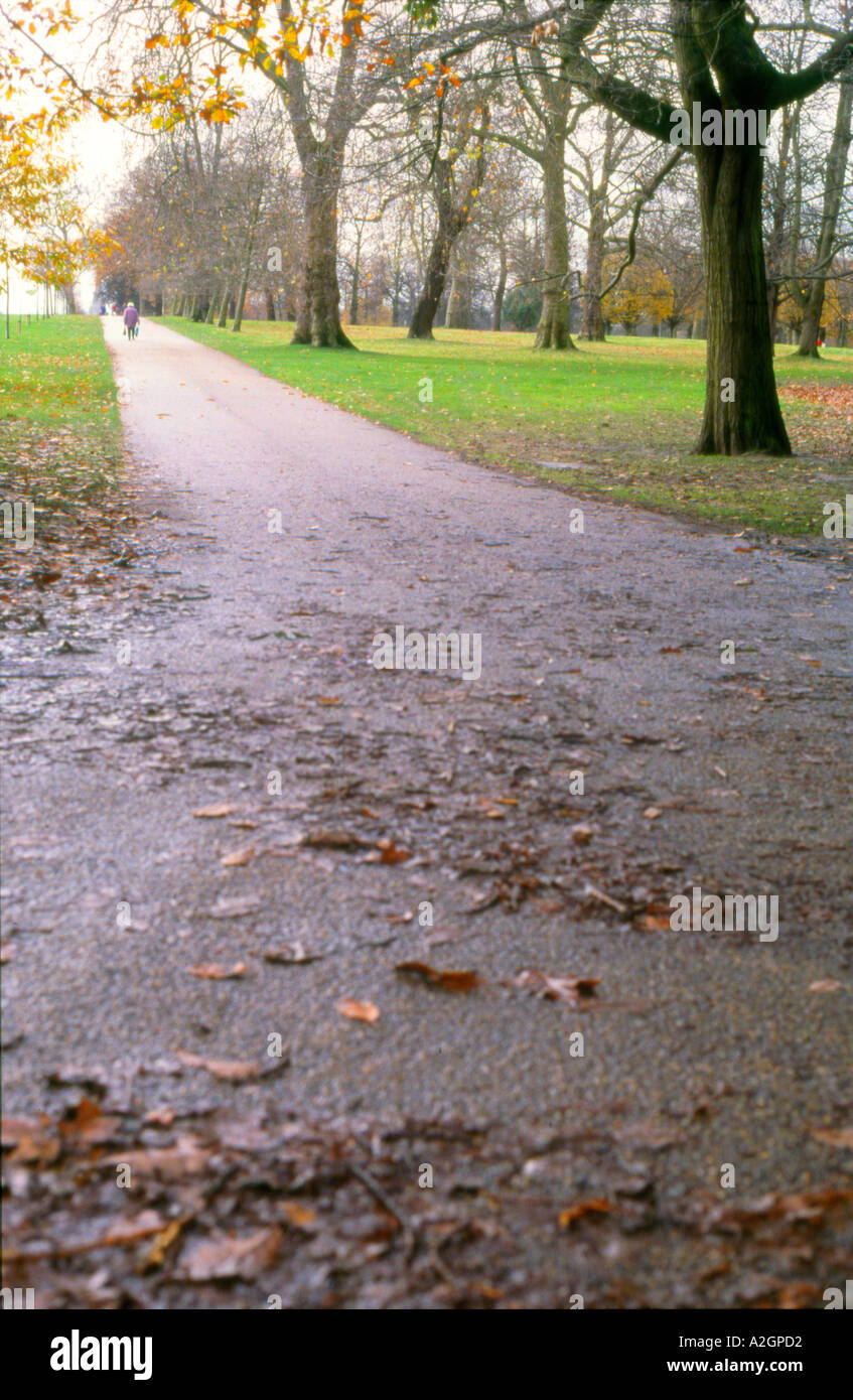 Hyde park and pathway Hyde PARK london Stock Photo - Alamy