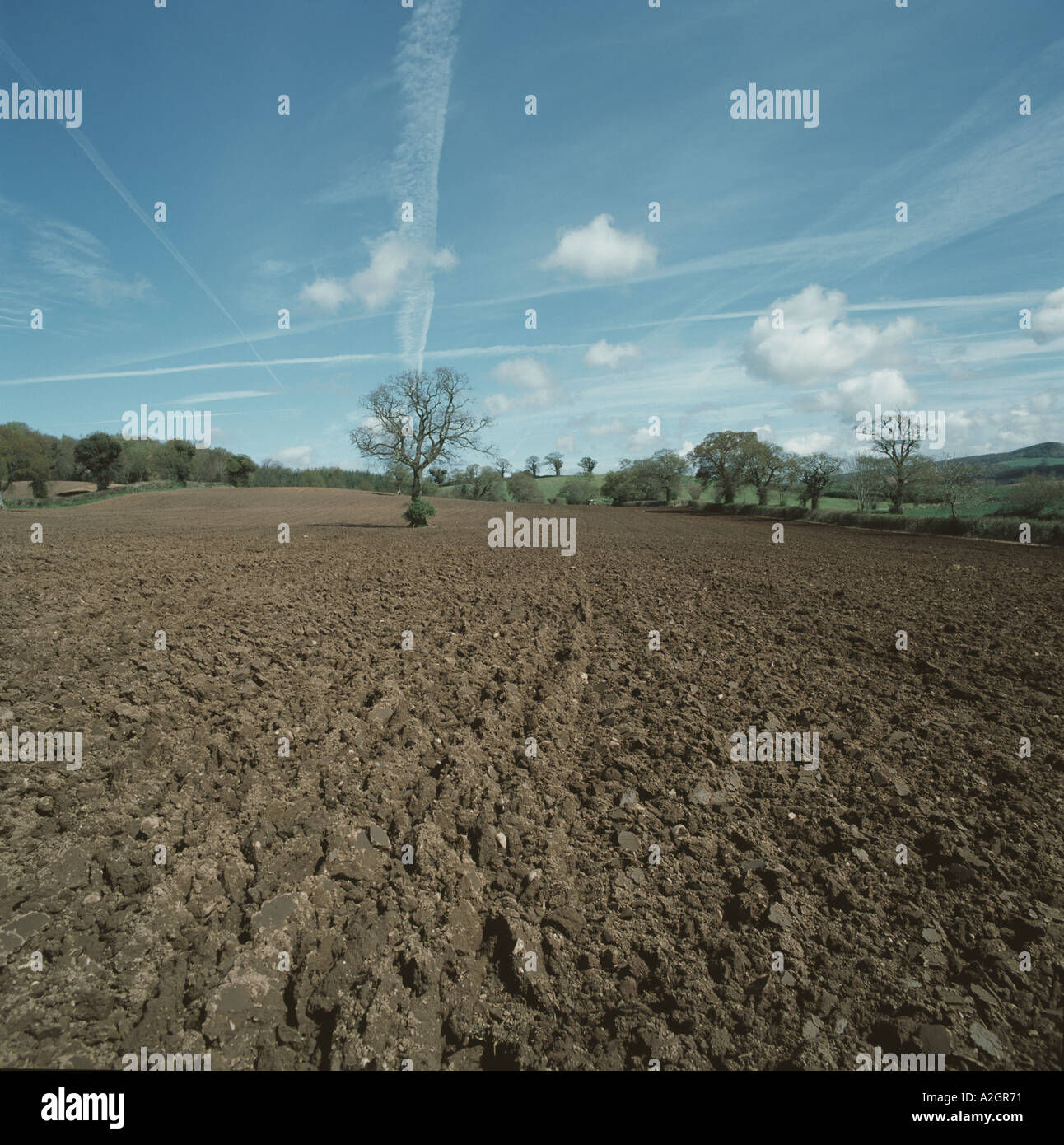 A freshly ploughed field being prepared for maize planting April Devon ...