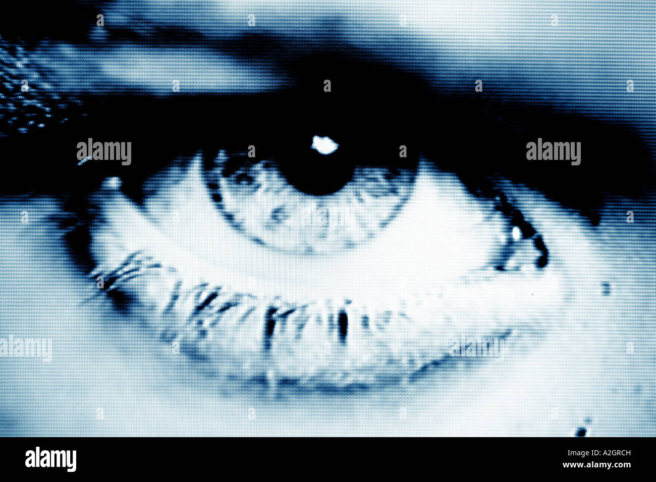 Close up of an open human eye Stock Photo - Alamy