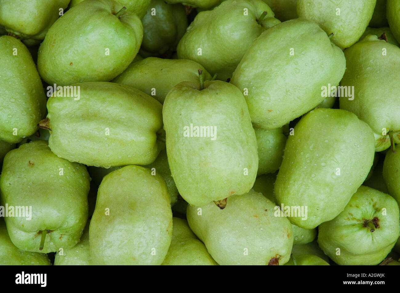 Thailand Pattaya market seedless Guava Stock Photo - Alamy