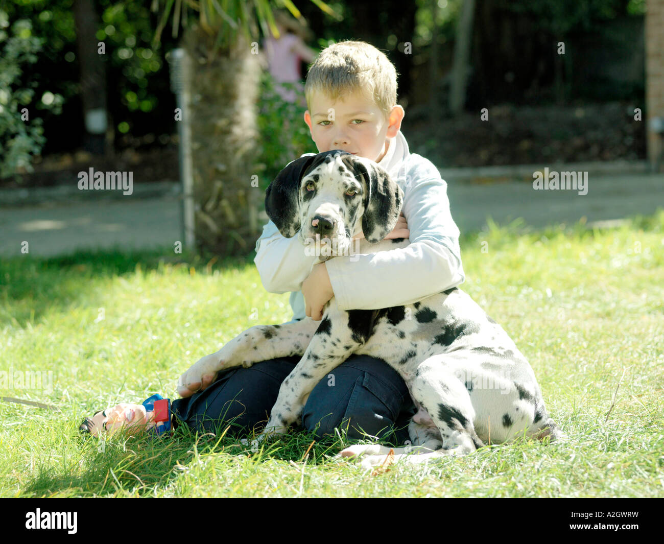 Young Boy Holding Puppy Dog Model Released Stock Photo - Alamy