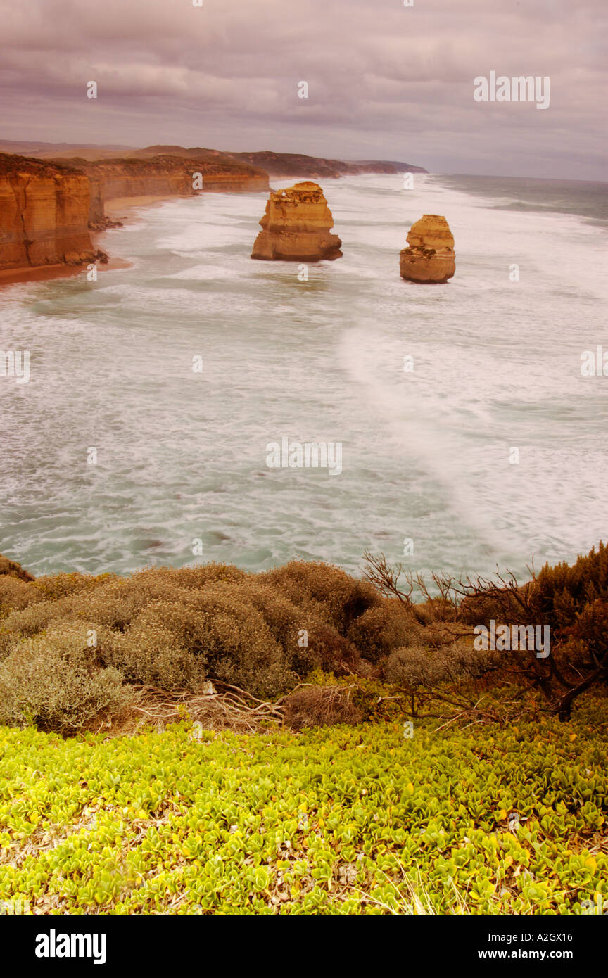 Apostles flower hi-res stock photography and images - Alamy