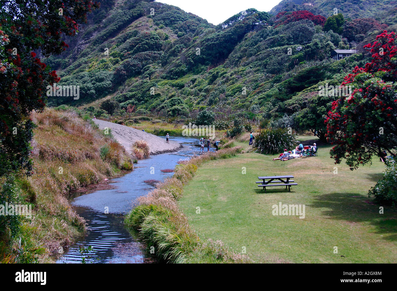 River valley, Karekare near Piha, Waitakere Ranges, West Auckland, New ...