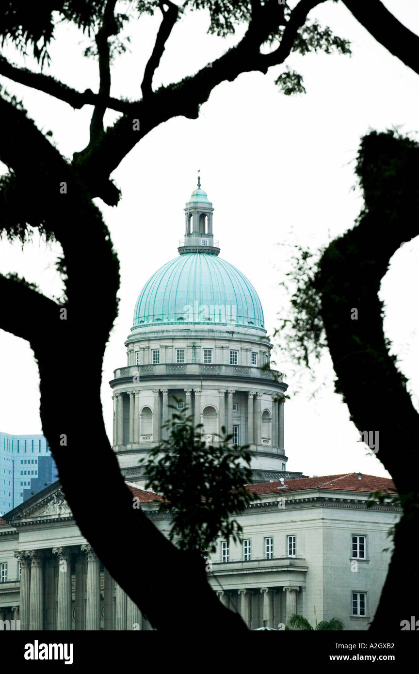 Dome of Supreme Court through branches of tree from the Padang ...