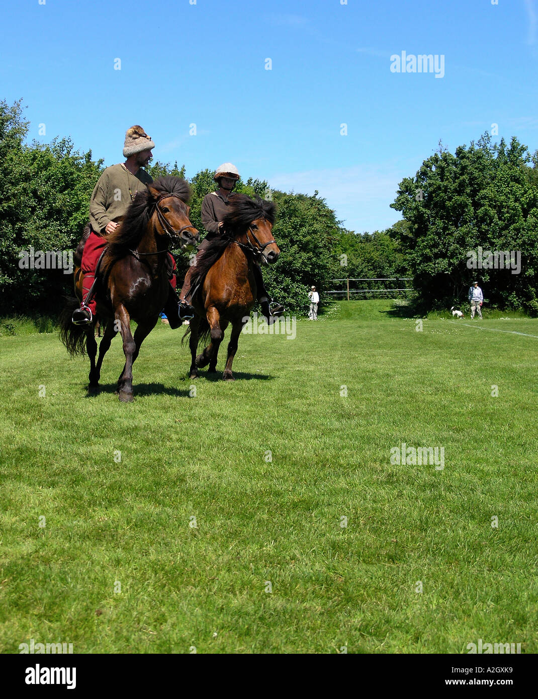 Viking group giving a horseback riding show on Icelandic horses Jutland ...