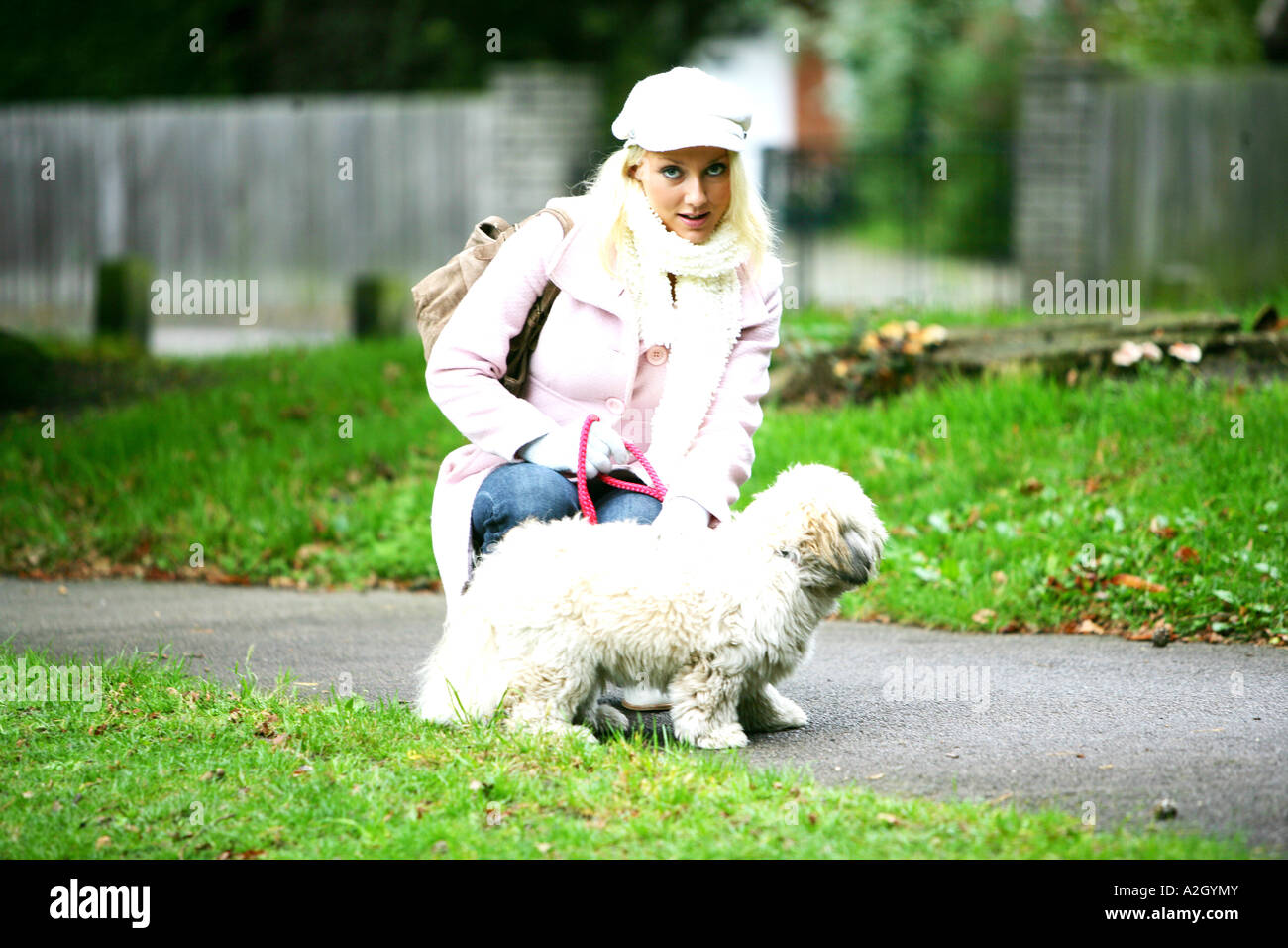 Young Woman Training Puppy Dog Model Released Stock Photo - Alamy