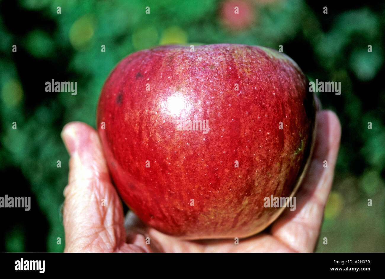 Wonder hand hi-res stock photography and images - Alamy