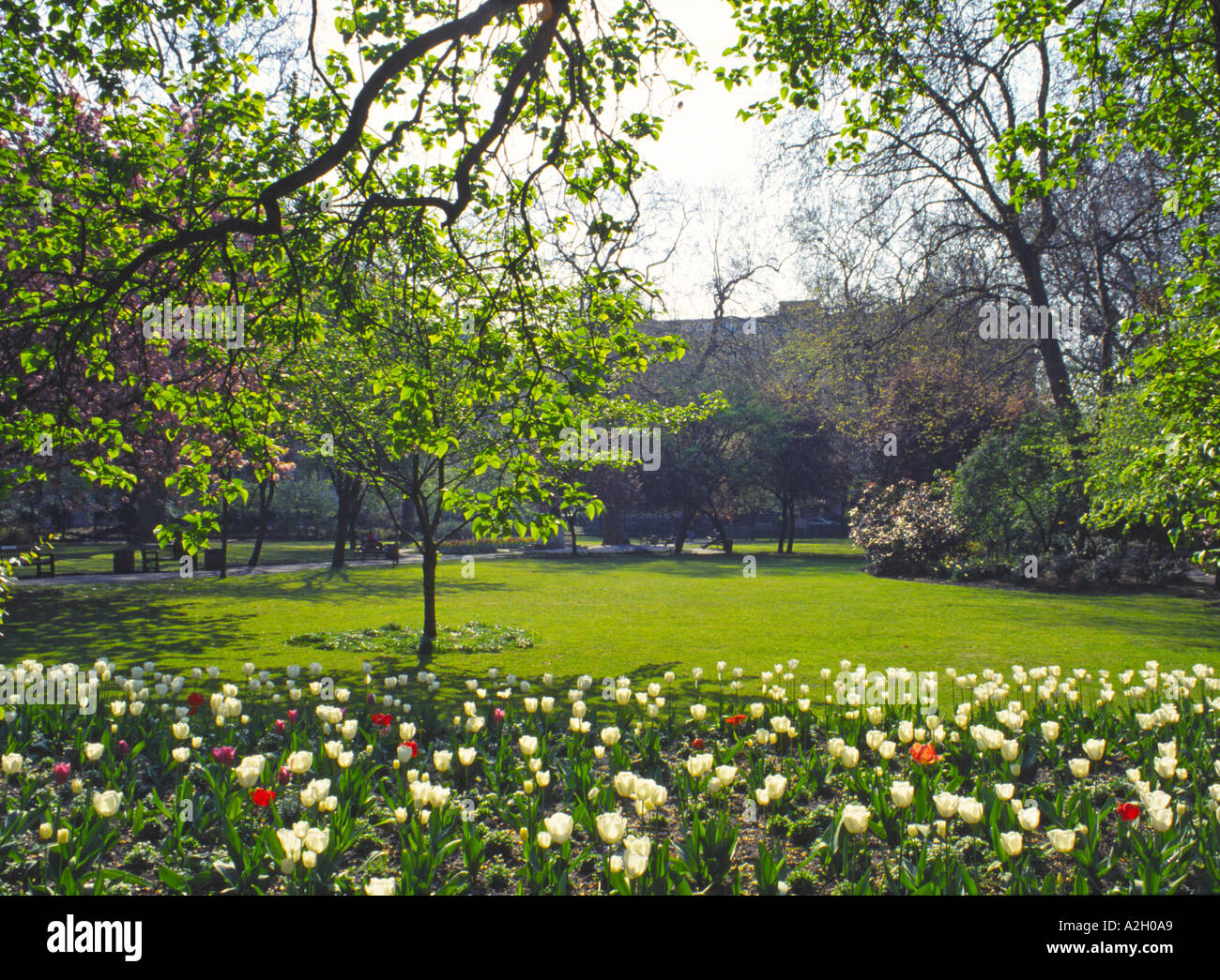 Camden square hi-res stock photography and images - Alamy
