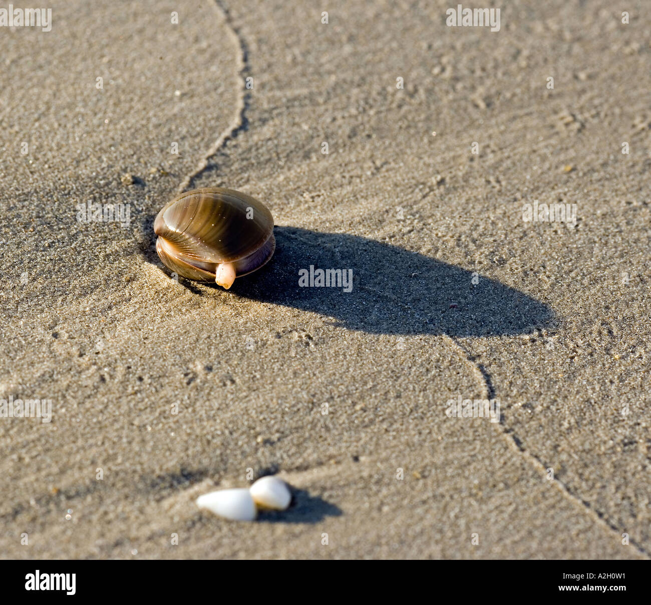 Beach at Langkawi island in Malaysia Stock Photo - Alamy