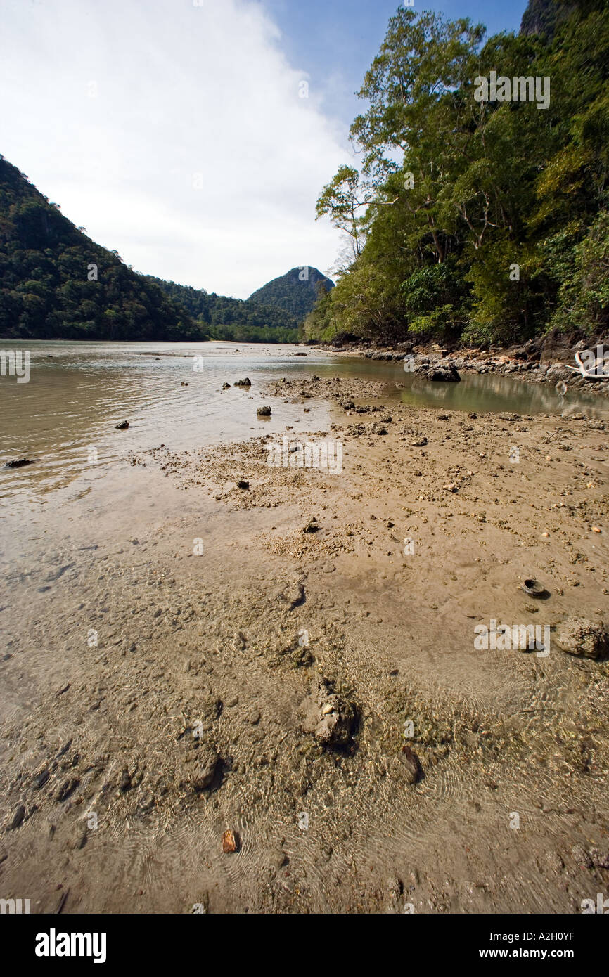 Muddy shore at Langkawi island in Malaysia Stock Photo - Alamy