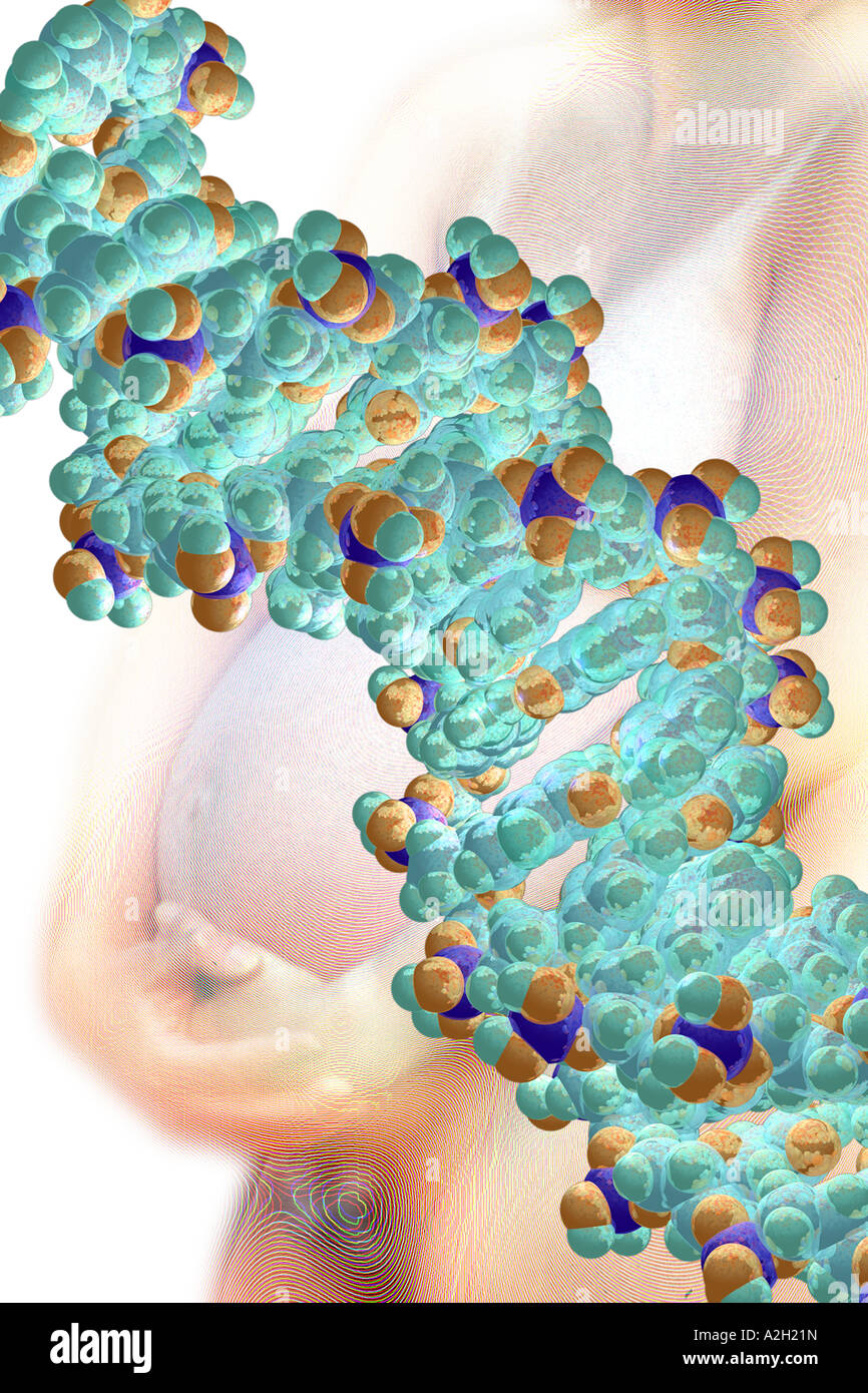 DNA molecule superimposed over pregnant woman Stock Photo - Alamy