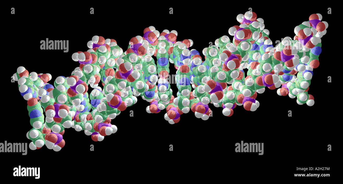 Space filling model dna hi-res stock photography and images - Alamy