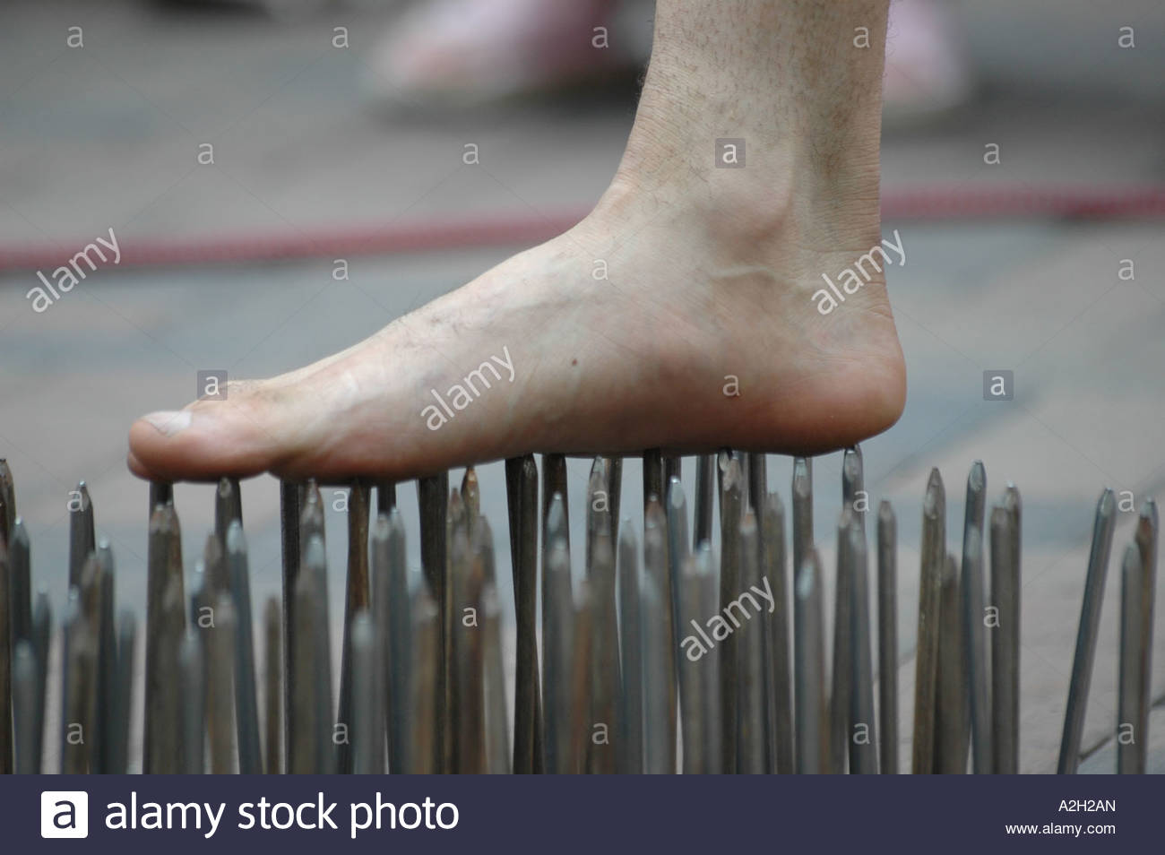 Fakir On The Nails Stock Photos & Fakir On The Nails Stock Images - Alamy