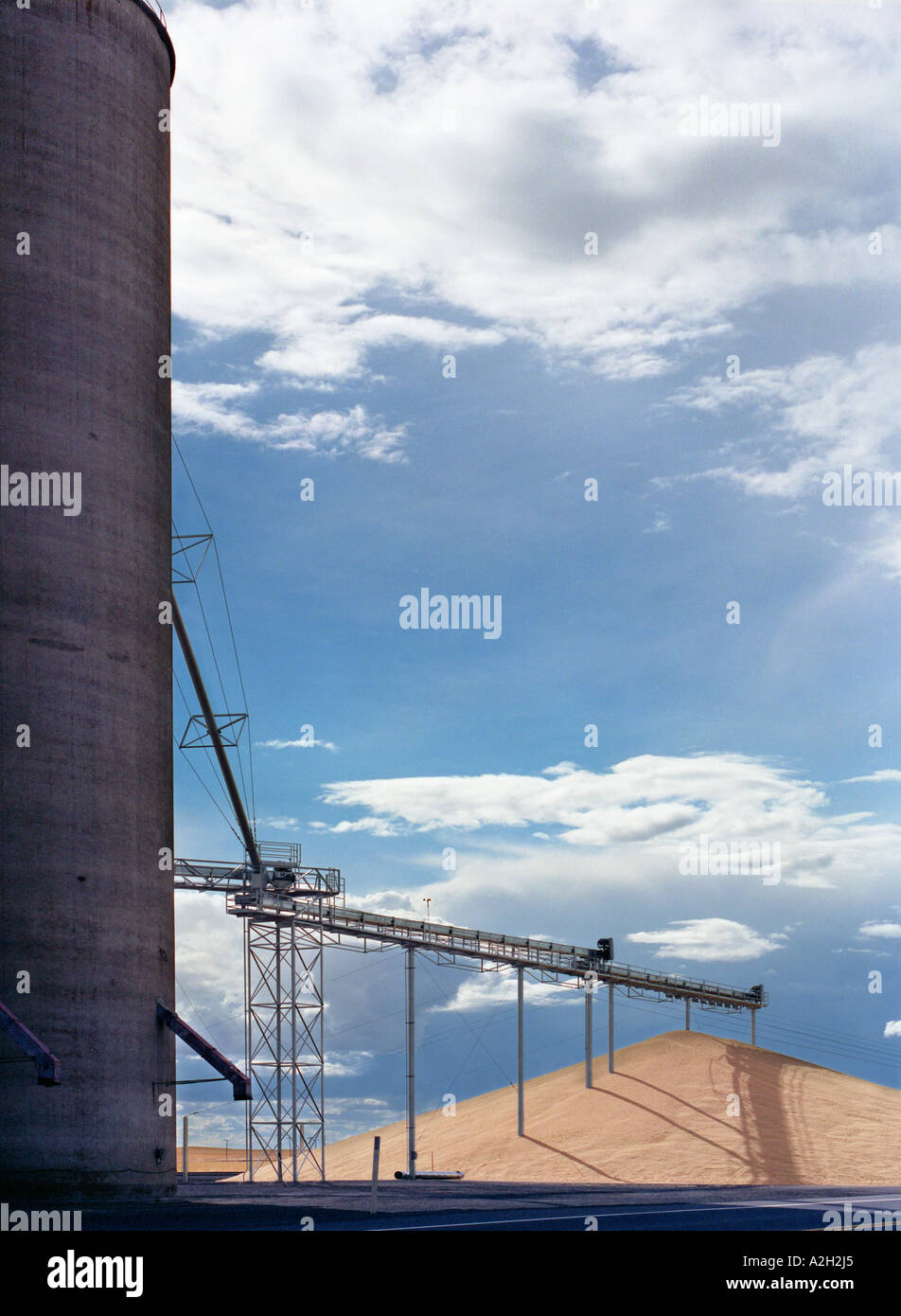 A grain storage elevator overflows with the autumn wheat harvest Stock ...