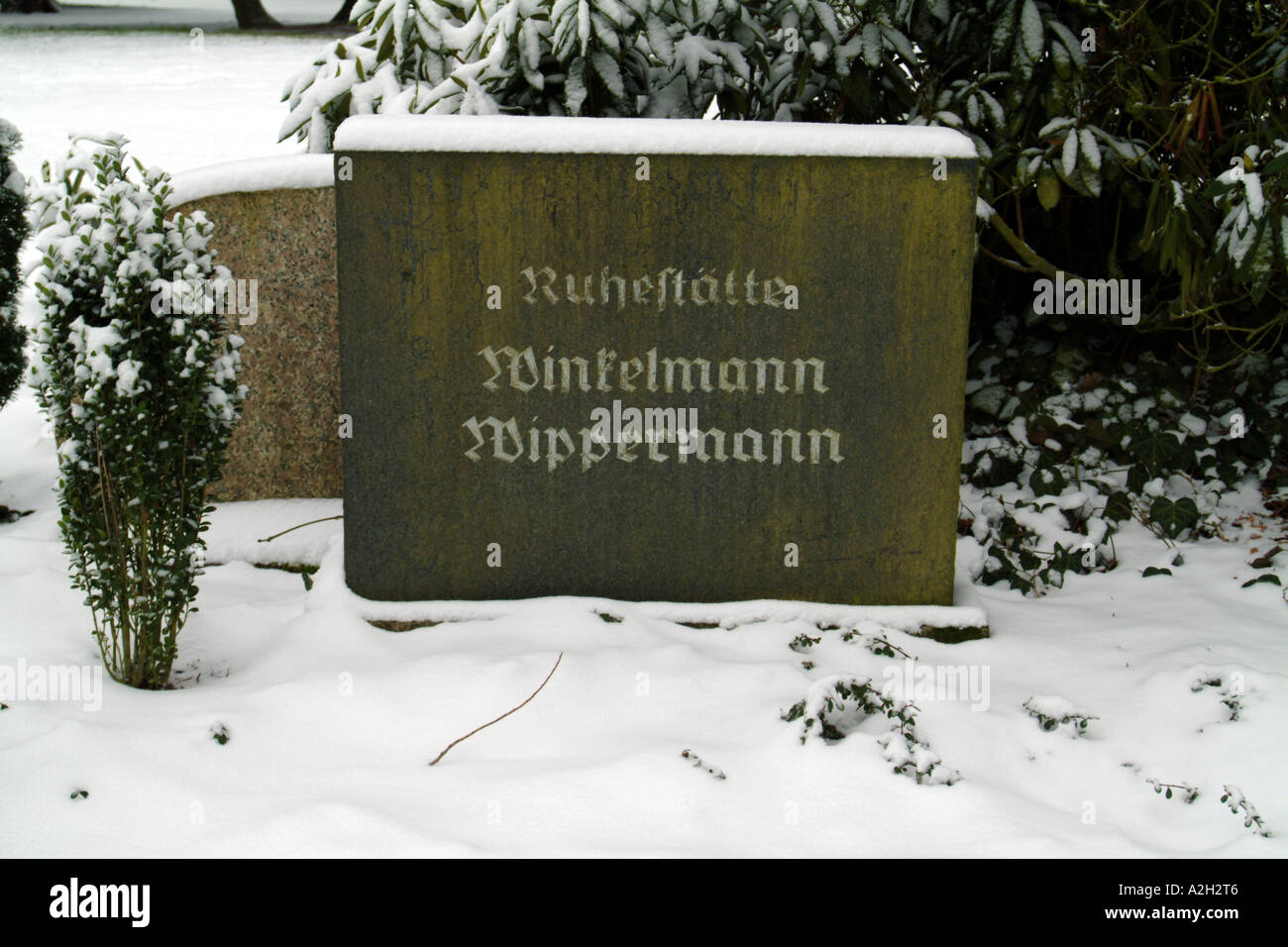 snow winter horizontal colour color white wintry cold chill freeze ...