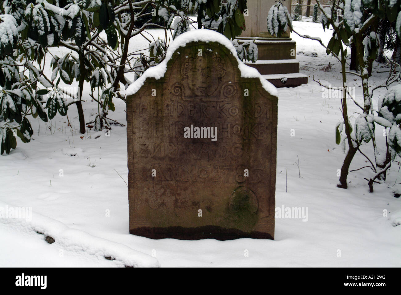 snow winter horizontal colour color white wintry cold chill freeze ...