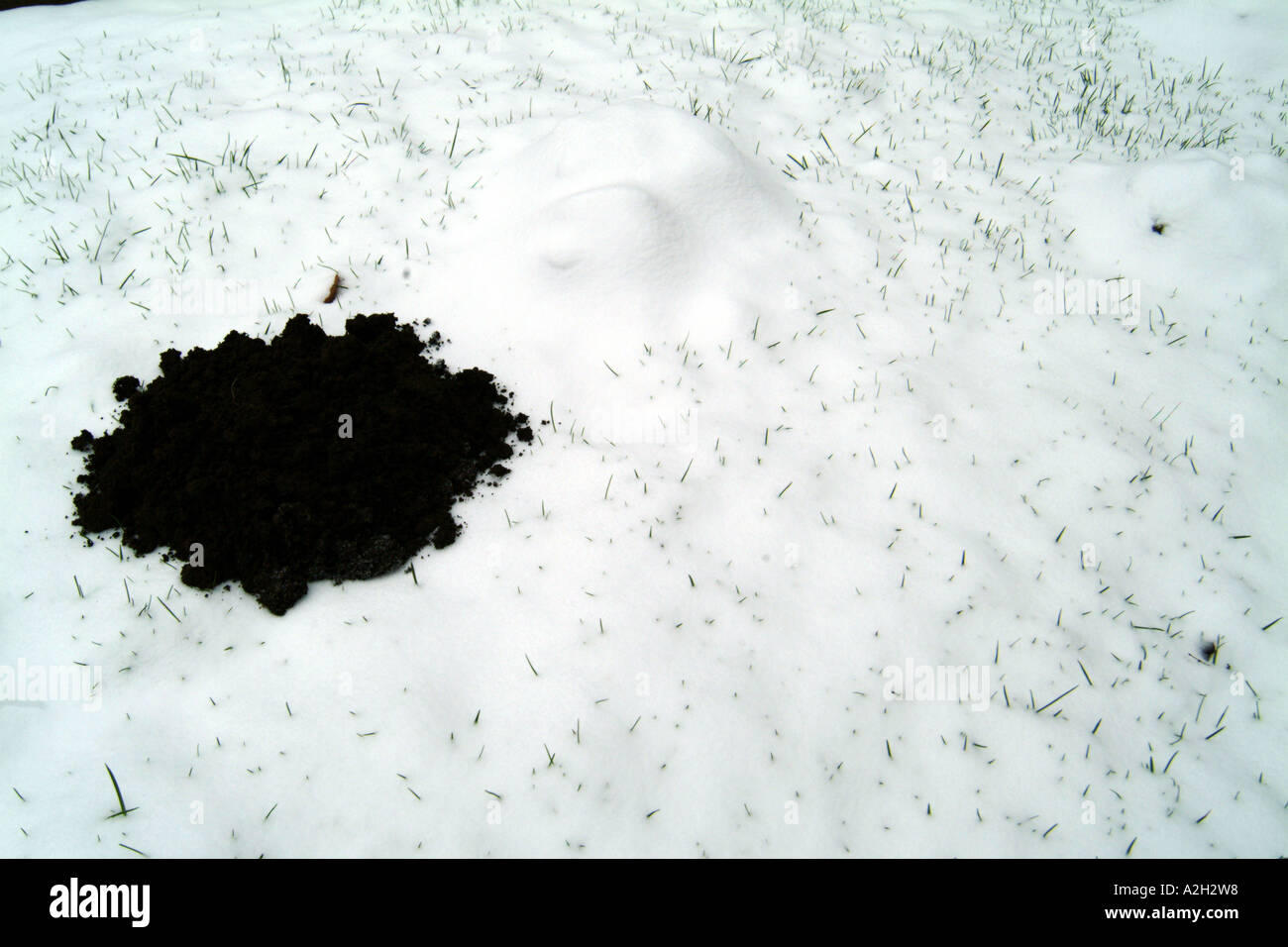snow mole hill molehill moles evidence concept survival Stock Photo - Alamy