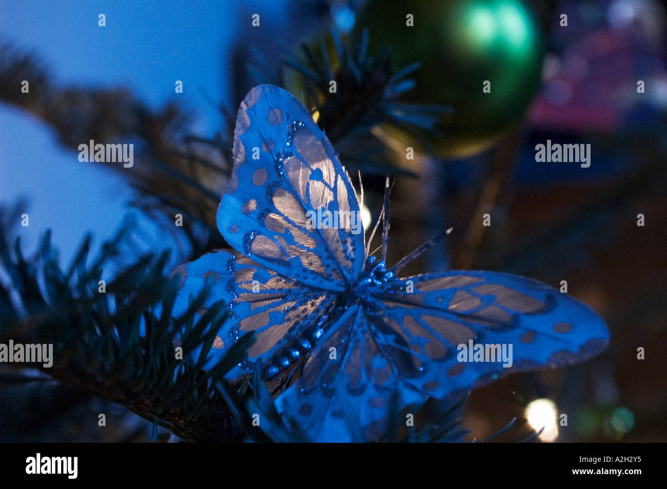 The butterfly ball hi-res stock photography and images - Alamy