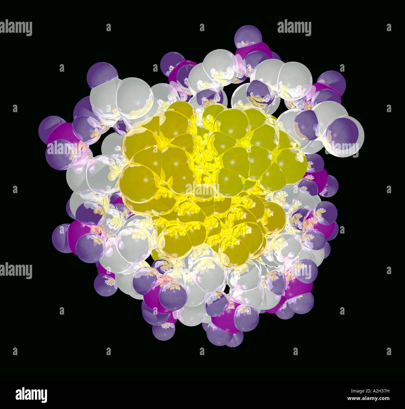computer-generated space filling model of DNA shown in axial view Stock ...