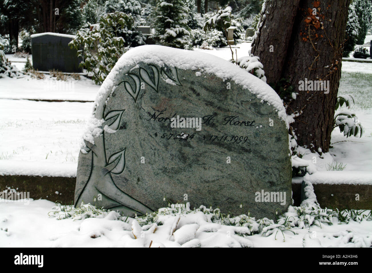 snow winter horizontal colour color white wintry cold chill freeze ...