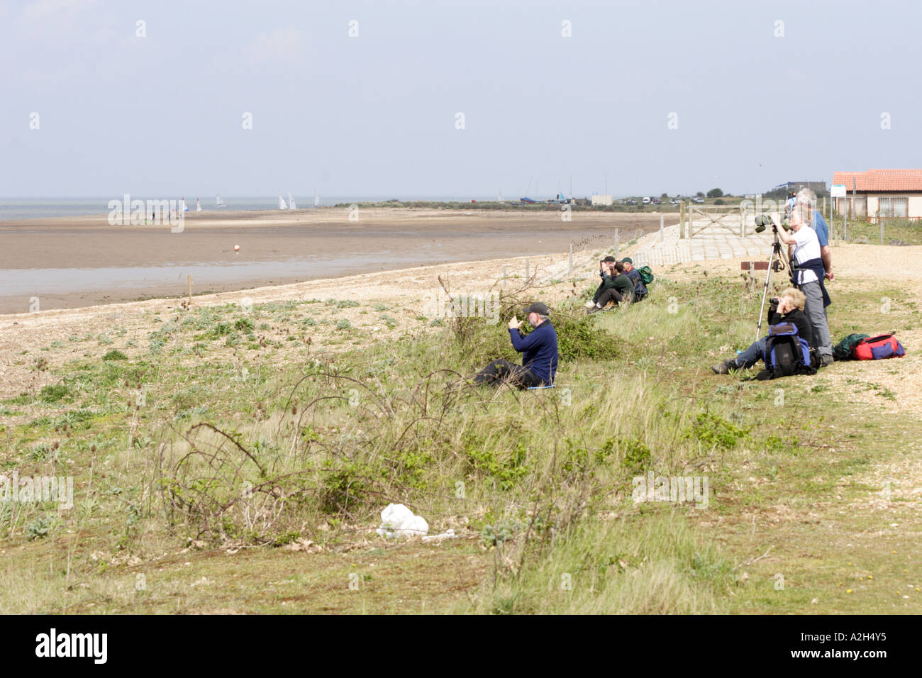 Birdwatchers at Snettisham RSPB reserve, UK Stock Photo - Alamy