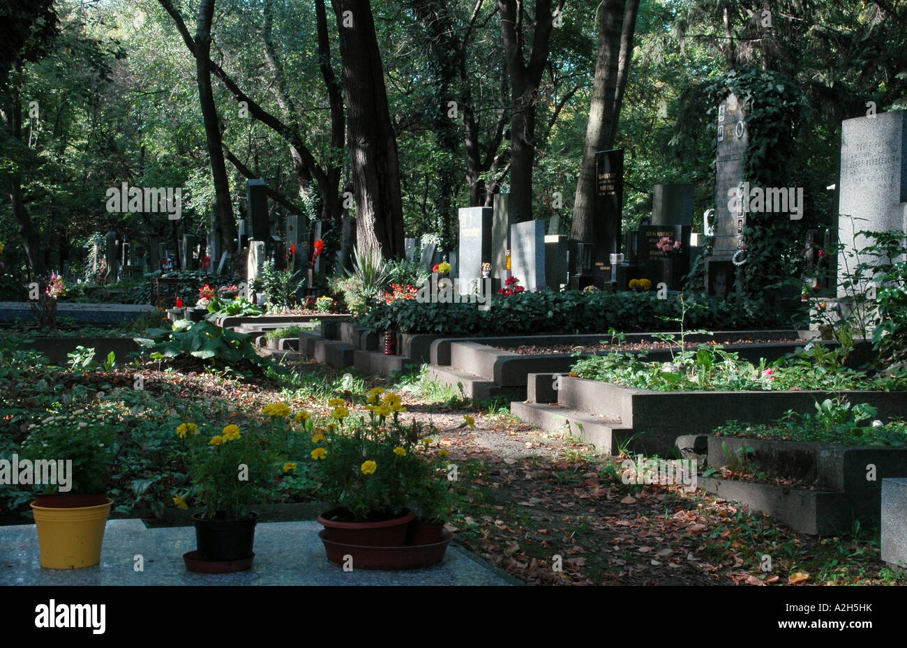 Olsany cemetery hi-res stock photography and images - Alamy