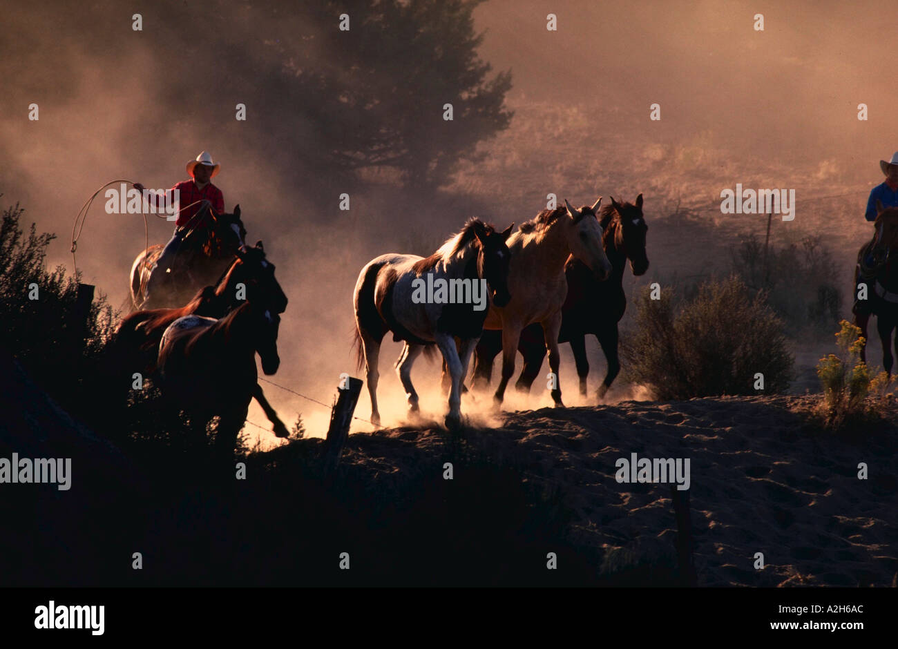 Historical ranch activities hi-res stock photography and images - Alamy