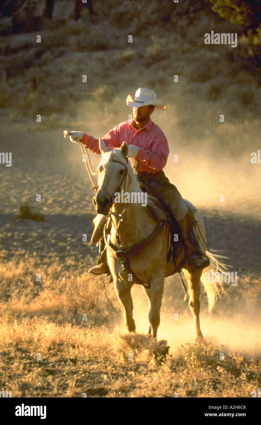 Cowboy Swinging A Rope High Resolution Stock Photography and Images - Alamy