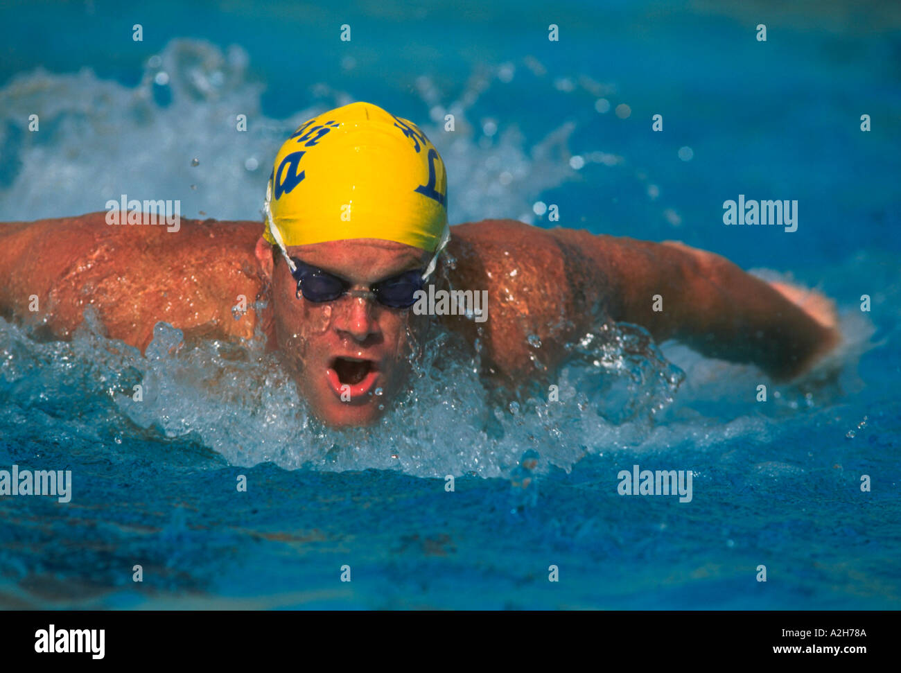 Male swimmer Butterfly stroke Stock Photo - Alamy
