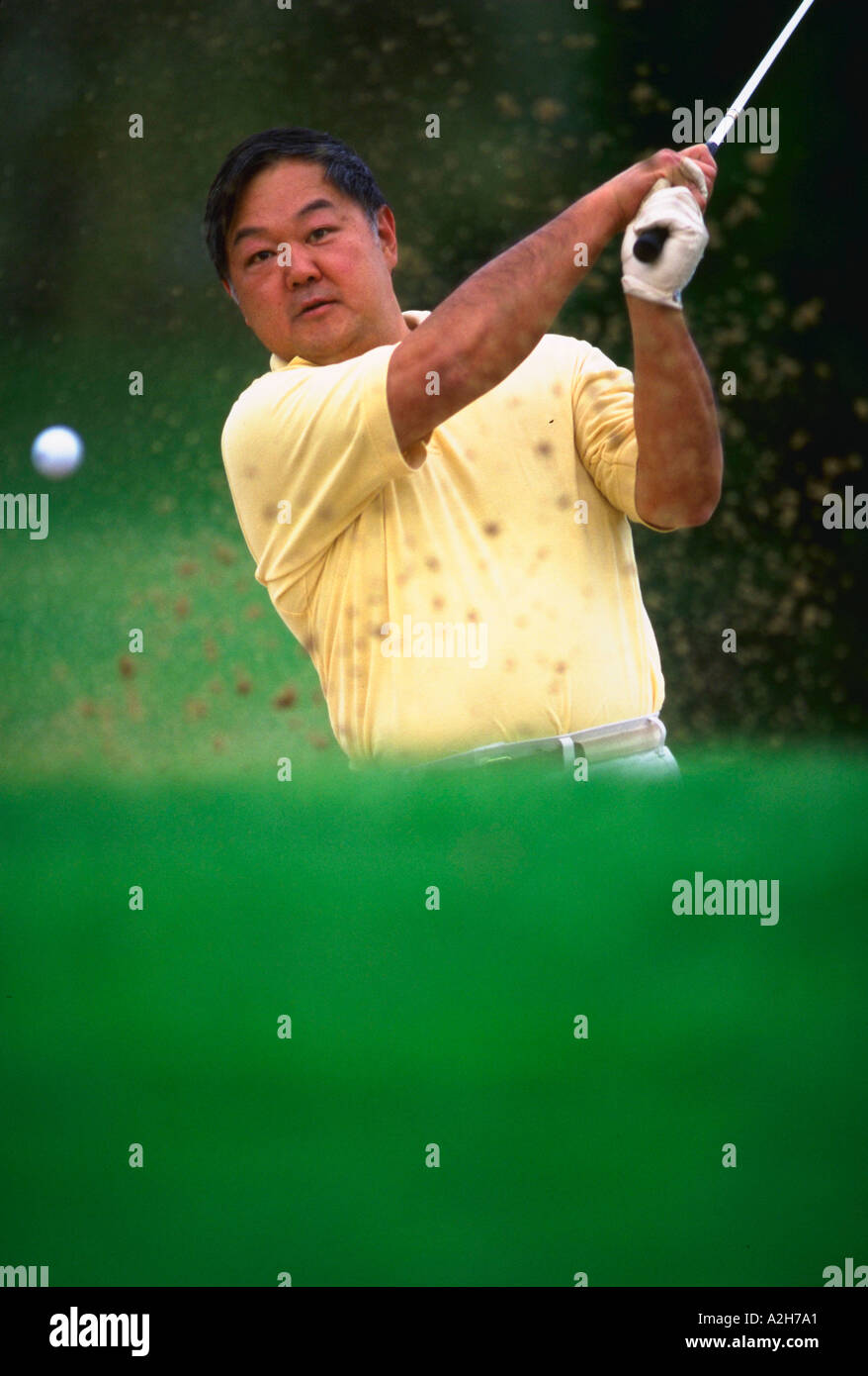 Asian man playing golf hi-res stock photography and images - Alamy