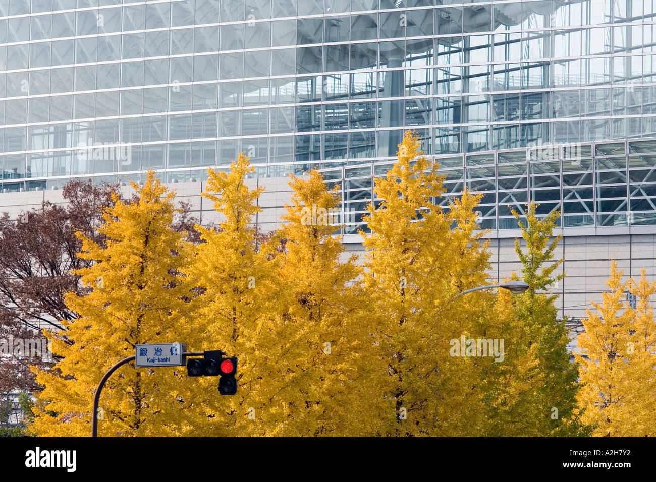 Japan, Tokyo, Maple tree and office building, Marunouchi Stock Photo ...