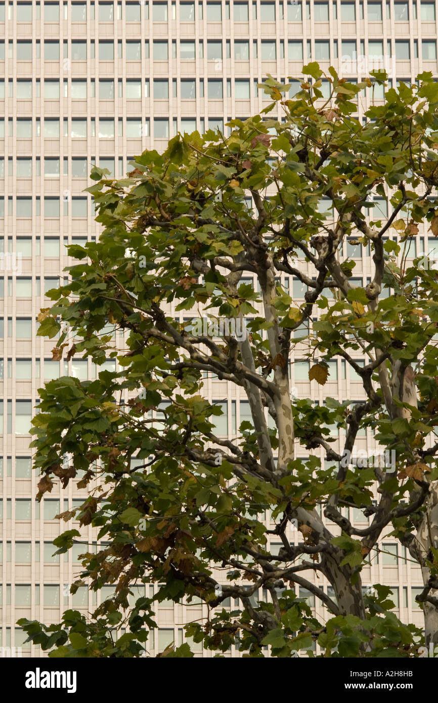 Tokio marunouchi hi-res stock photography and images - Alamy