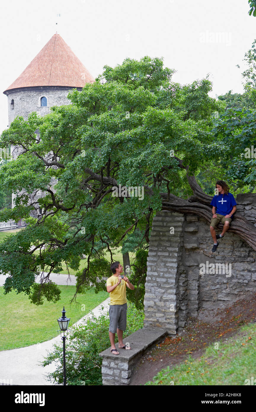 Upper old town Tallinn Estonia model released 475 478 Stock Photo - Alamy