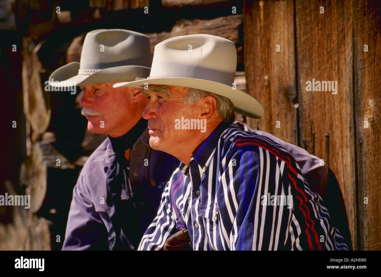 Old senior rancher portrait hi-res stock photography and images - Alamy