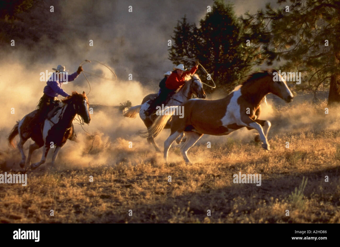 Agriculture cooperation hi-res stock photography and images - Alamy