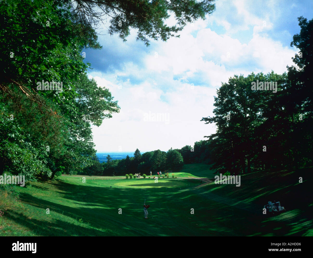 Golfers looking for golf ball hi-res stock photography and images - Alamy