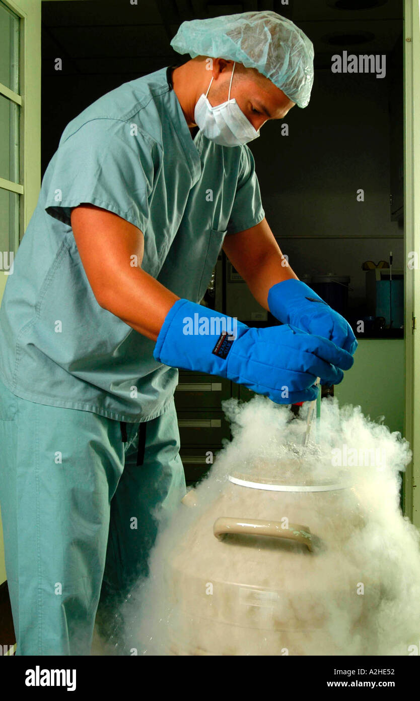 Laboratory liquid nitrogen test tube hi-res stock photography and ...