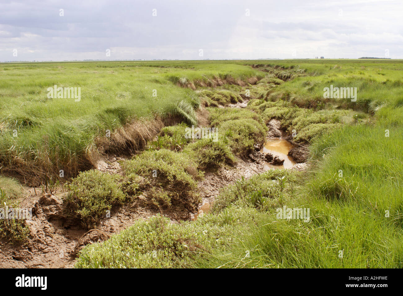 Frampton marsh nature reserve hi-res stock photography and images - Alamy