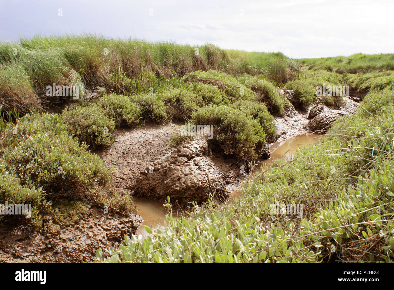 Frampton Marsh High Resolution Stock Photography and Images - Alamy