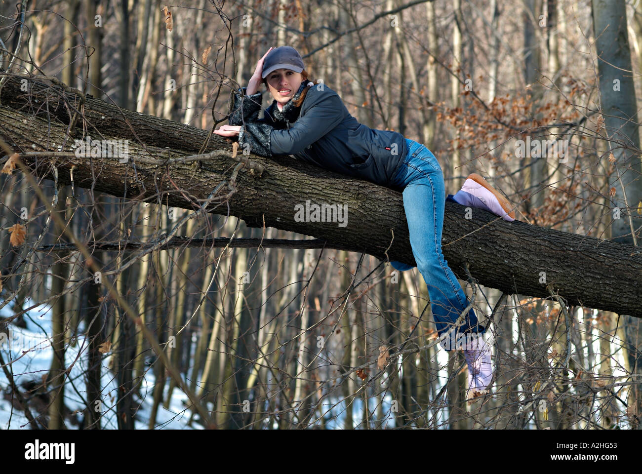 Woman Sat in a Tree Stock Photo - Alamy